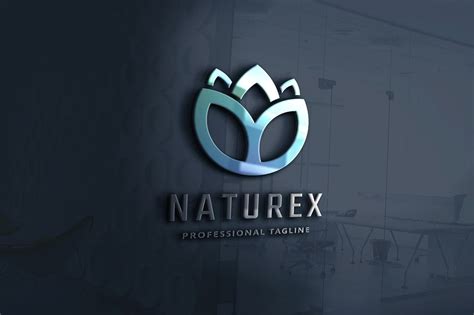 Naturex Logo by Modernikdesign | Codester
