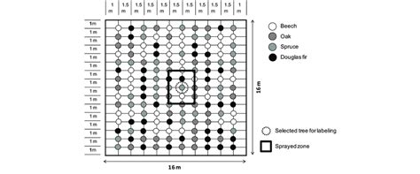 Schematic Representation Of A Study Plot With Area Sprayed With Highly Download Scientific