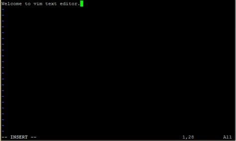 Linux Text Editor Vi And Vim System Zone