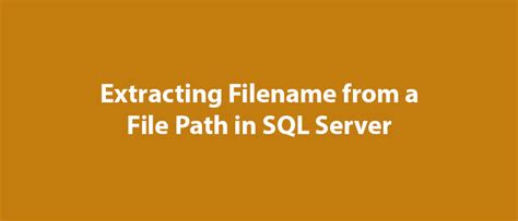 How Much Ram Does Which Database Use In Sql Server Mssql Query