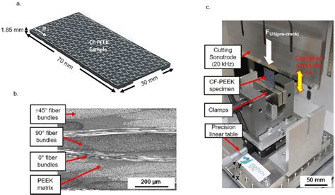 A Extracted Cf Peek Specimen With Geometry B Light Optical Download Scientific Diagram