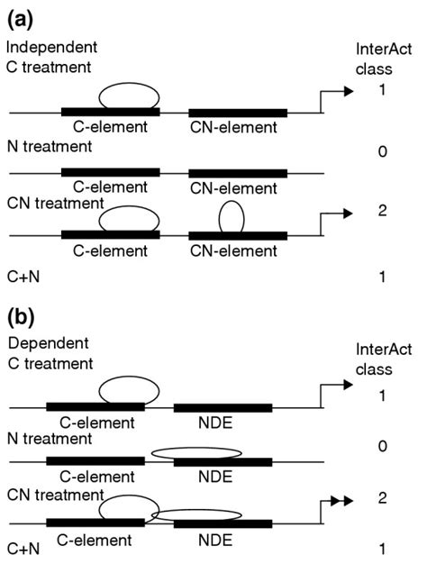 Two General Mechanisms That Would Result In CN Expression Being Greater Download Scientific