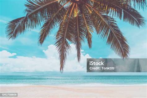 푸른 하늘과 하얀 구름 추상적 인 배경이있는 열대 해변의 야자수 여름 휴가 및 비즈니스 여행 개념의 공간을 복사하십시오 0명에