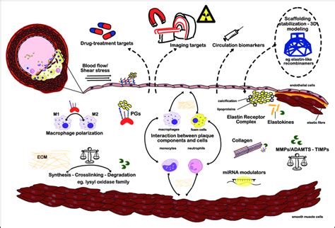 Overview Of Futures Approaches Against Atherosclerosis Using The
