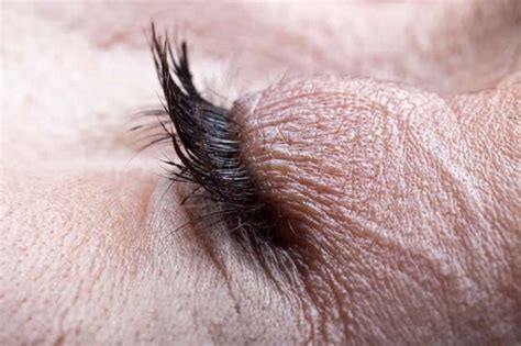 Issue 3408 Magazine Cover Date 15 October 2022 New Scientist