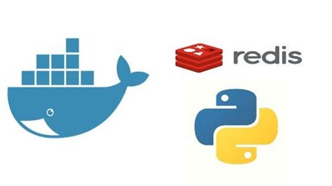 Python Redis Using Docker Redis Is Very Popular In Terms Of By