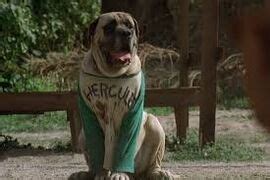 Hercules The Sandlot Wiki Fandom Powered By Wikia