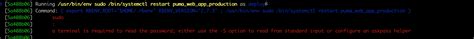 Ruby On Rails Problem Deploying With Capistrano I Cant Restart Puma