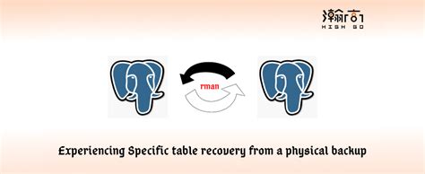 Experiencing A Specific Table Recovery Using File Level Backup Highgo