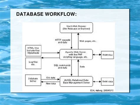 Database Management System