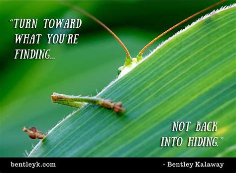 when you take a bold step there is often a moment of wanting to