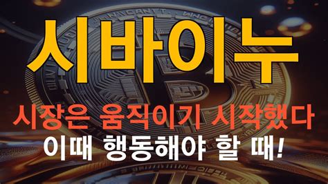 코인 시바이누 시바이누 코인분석 목표가와 높은 수익률의 비결 알아보자 Youtube