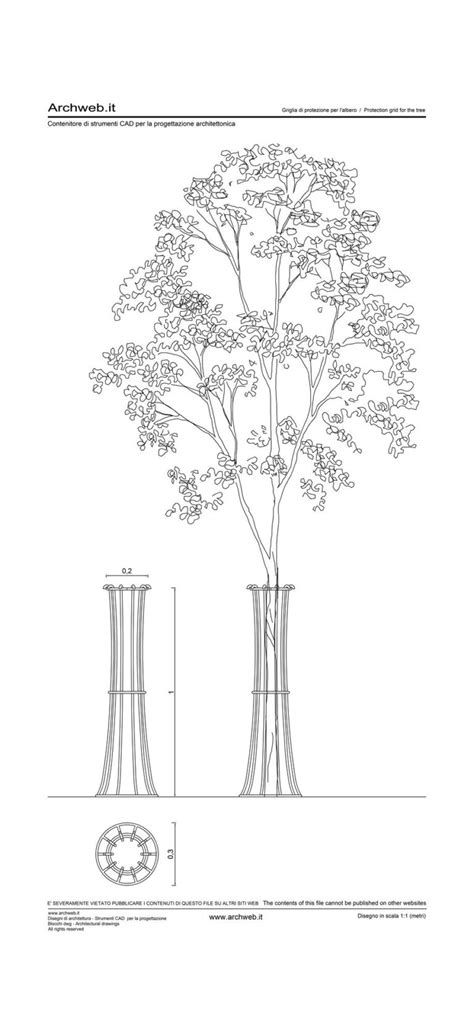 Tree Grids Archweb Dwg Tree Grids Archweb Dwg
