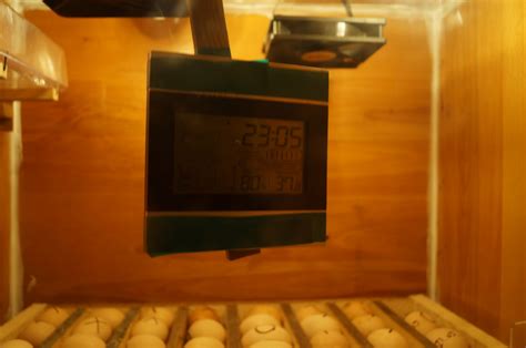 My Approach To Build And Learn Chicken Incubator Homemade