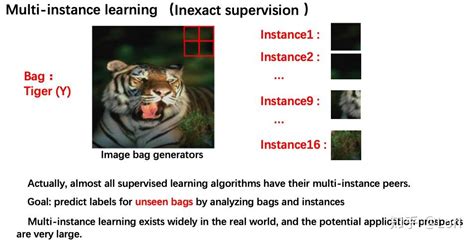 浅谈弱监督学习（weakly Supervised Learning） 知乎