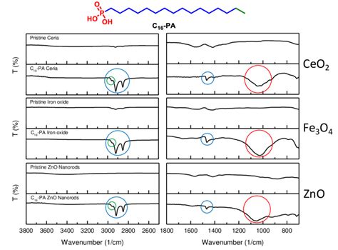5 Exemplary Ftir Atr Spectra Color Coded Of Various Pure And C16 Pa