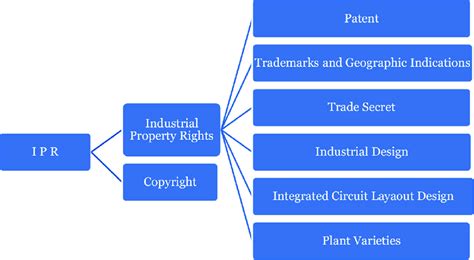 Distribution Of Types Of Ipr Source Simatupang 9 Download Scientific Diagram