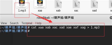 Ctf中misc之mp3等音频隐写ctf Mp3 Csdn博客