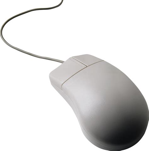 Mouse en