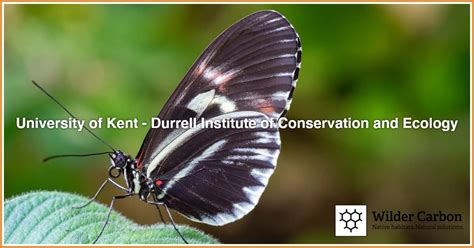 University Of Kent Durrell Institute Of Conservation And Ecology