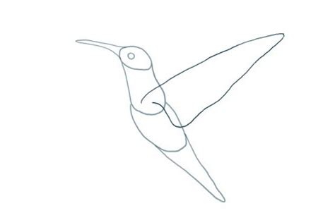How To Draw A Hummingbird Step By Step SketchBookNation Com