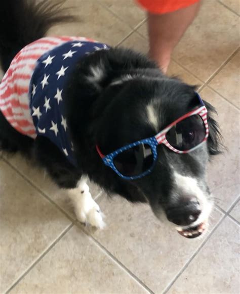 After Lurking In This Sub Shouldnt Have Been Too Surprised On The