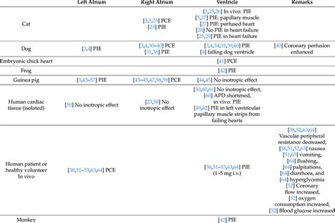 Species And Age Dependency Of Glucagon Induced Increases In Cardiac