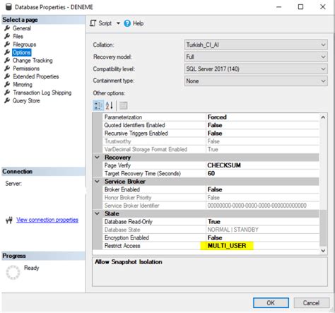 sql database restore failed database is in use veritabani