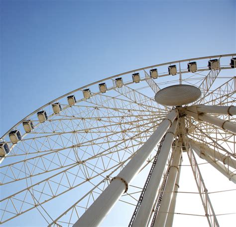 Igcse Physics Effects Of Forces Igcse Pro Revision Notes