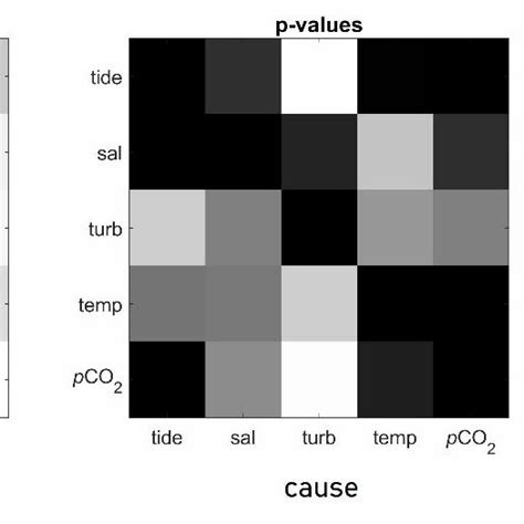 Granger Causality Test Results A Pairwise Conditional Granger Download Scientific Diagram