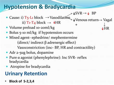 Subarachnoid Block Dr Amit 1pptx Subarachnoid Block Dr Amit 1pptx