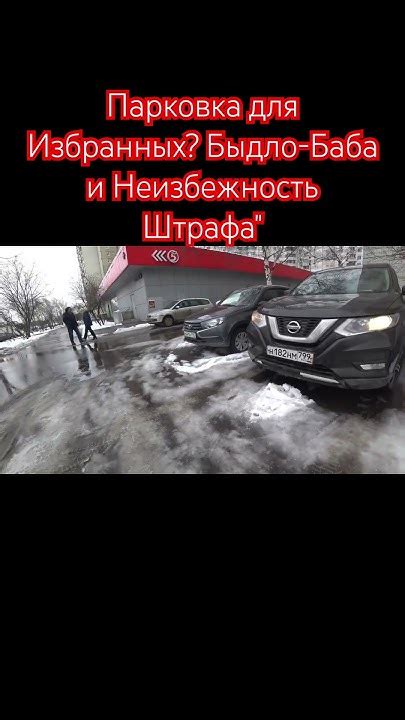 Парковка для Избранных Быдло Баба и Неизбежность Штрафа Automobile дтп дпсбудни топ
