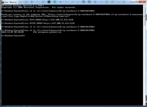 Amazon Web Services Aws S3 Cli Could Not Connect To The Endpoint