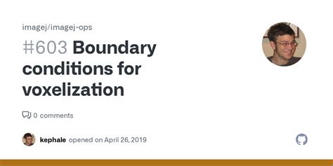 Boundary Conditions For Voxelization · Issue 603 · Imagejimagej Ops