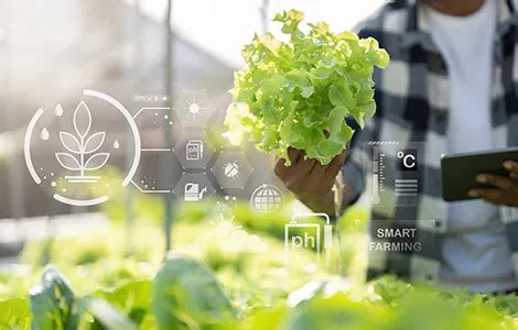 Smart Farm L Embratel