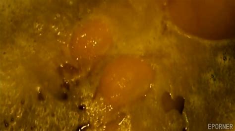 Hrz Love Potion Gina Ryder Steve Taylor Eporner