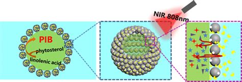 Lipase Entrapped Polydopamine Pda Nanobottles For Near Infrared Nir Triggered Pickering