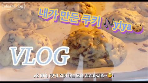 Vlogㅣ쿠키만들고 댕댕이 교육 듣고 재난지원금 쓰고 망한 쇼핑하는🫣 Youtube