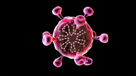 腺病毒图册360百科