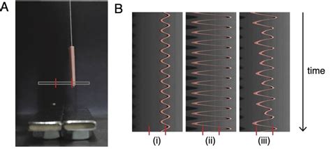 Nonlinear Vibration Lab A Image Of The Experiment Setup The Download Scientific Diagram