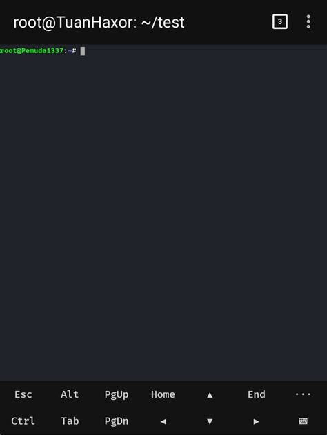 Linux GNU Screen Clears Some Or All Of The Output History Displayed In The Terminal When