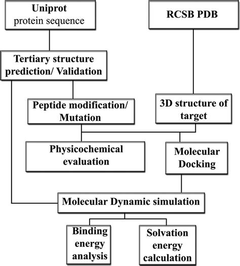 Summary Of The Workflow In The Study Download Scientific Diagram
