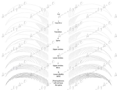 Microblading Patterns Nanoblade Pattern Basic Advance Curve S Shape Step By Step Pattern