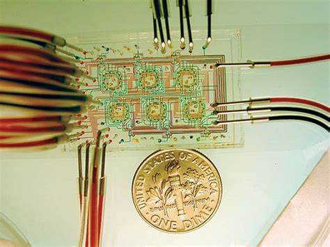 Microfluidic Devices Microfluidics Micropumps Microvalves Lab On Chip