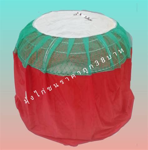 มุ้งไก่ชนราคาถูก38บาท