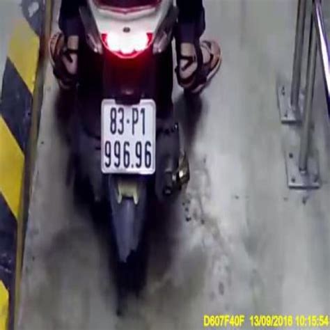 License Plate Detection By Bnquang Object Detection Model V Pm By BNQuang