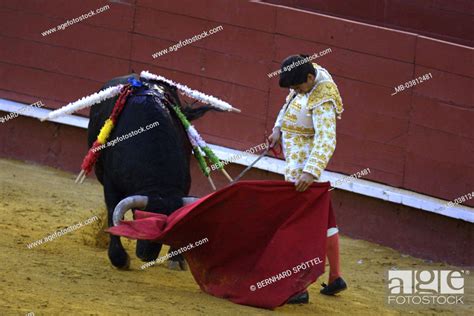 Spain Valencia Bullring Torero Cloth Bull Spears Bleeds