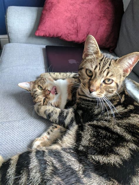 Malfunction R Stoppedworking