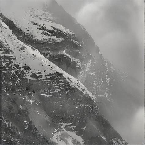 Image Neural Field Diffusion Models