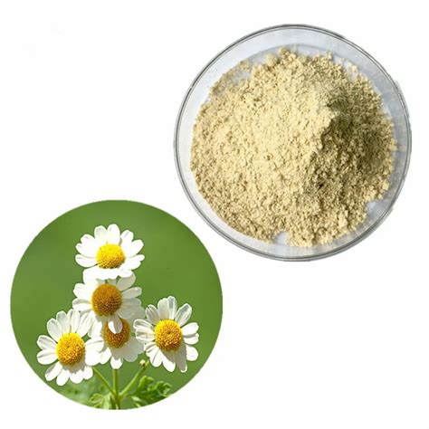 Chamomile Extract Powder At ₹ 1800 Kg Malt Extract Powder In